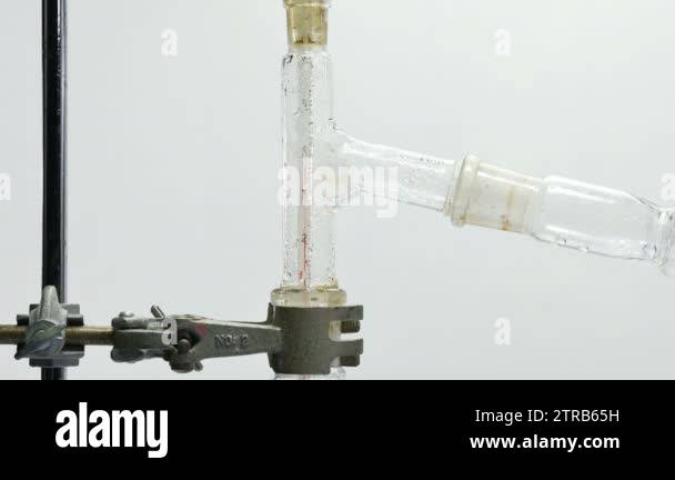 red line on thermometer go up heat vapor causes droplets. boiling blueberry in laboratory ...