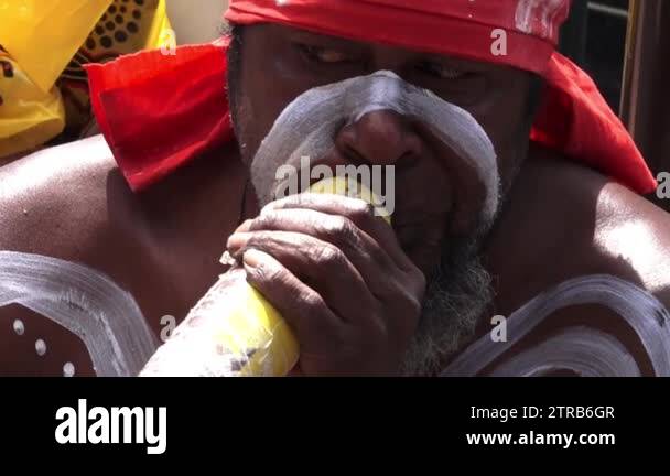 Aboriginal wind instrument Stock Videos & Footage - HD and 4K Video ...