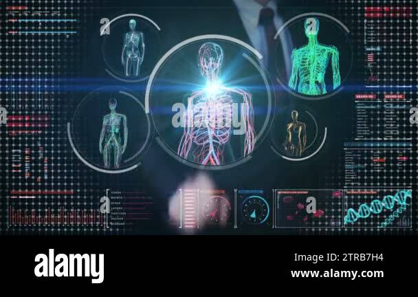 Businessman touching digital screen, Female body scanning blood vessel ...