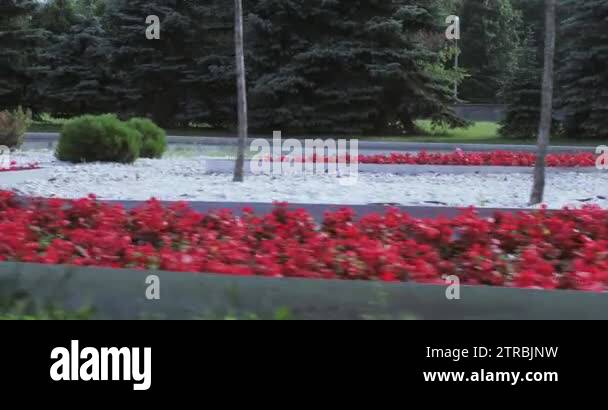 Landscape design flower beds in the park Stock Video Footage - Alamy