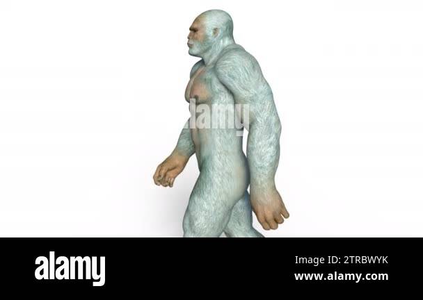 Yeti legend Stock Videos & Footage - HD and 4K Video Clips - Alamy