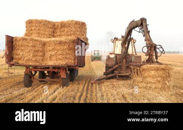Hay blocks Stock Videos & Footage - HD and 4K Video Clips - Alamy