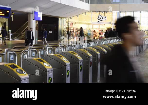 Ov chip Stock Videos & Footage - HD and 4K Video Clips - Alamy