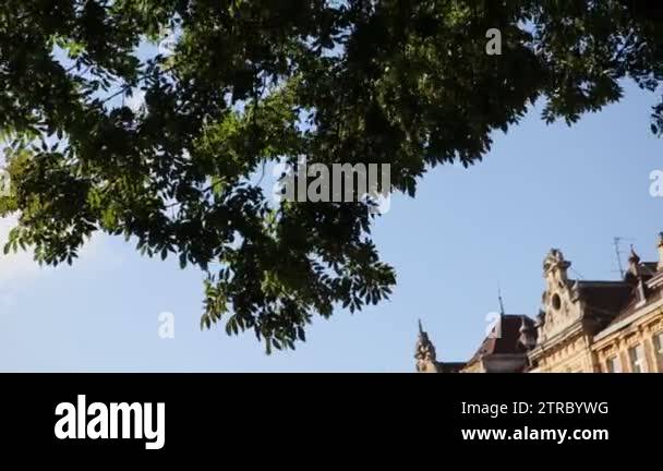 Historical architecture background Stock Videos & Footage - HD and 4K ...