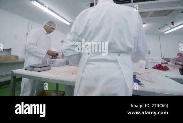 Meat processing uk production line Stock Videos & Footage - HD and 4K ...