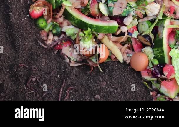 Garden waste food recycle Stock Videos & Footage - HD and 4K Video ...