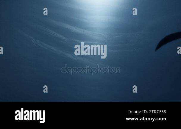 Creepy death silhouette walking slowly with sharp scythe, collecting ...