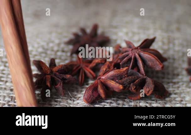 Seed rods Stock Videos & Footage - HD and 4K Video Clips - Alamy