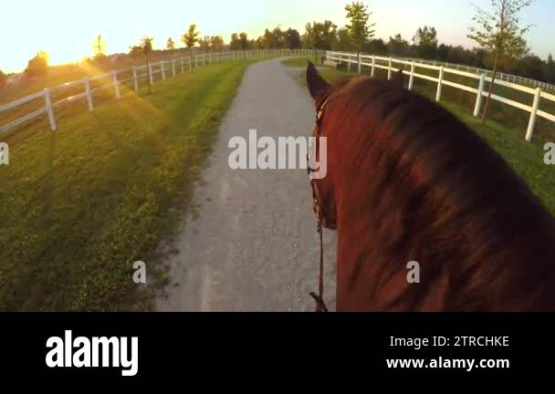 FPV, CLOSE UP: Magical and relaxing evening ride on horse ranch at ...