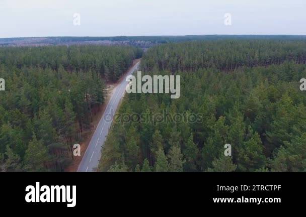 Dense forest with swamp and high voltage power lines. Aerial top view ...