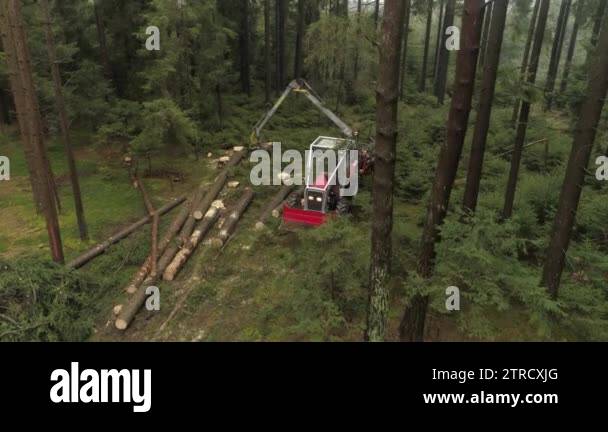 AERIAL, CLOSE UP: Flying above logging truck harvesting, lifting pile ...