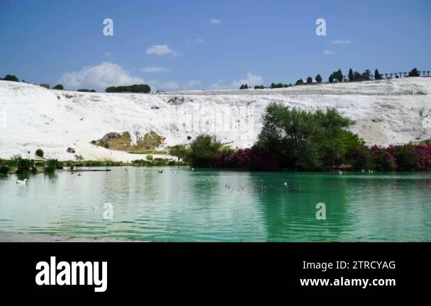 Beautiful pond in front of terraces of Pamukkale. Static shot. Turkey ...