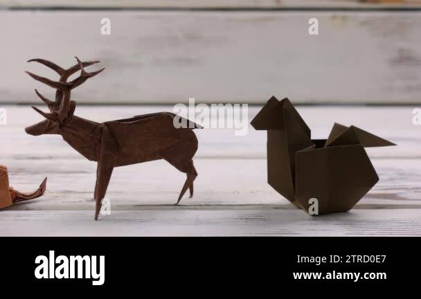 Exposition origami animal models Stock Videos & Footage - HD and 4K ...
