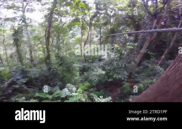 Jungle ropes Stock Videos & Footage - HD and 4K Video Clips - Alamy
