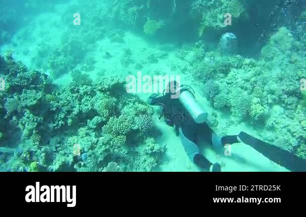 Scuba diver in yellow Stock Videos & Footage - HD and 4K Video Clips ...