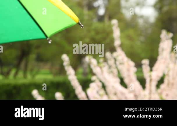 Wet rain umbrella Stock Videos & Footage - HD and 4K Video Clips - Alamy