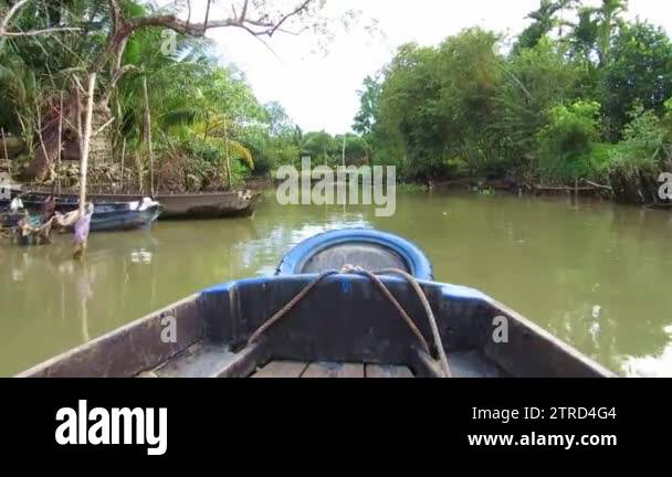 Vietnam delta jungle Stock Videos & Footage - HD and 4K Video Clips - Alamy