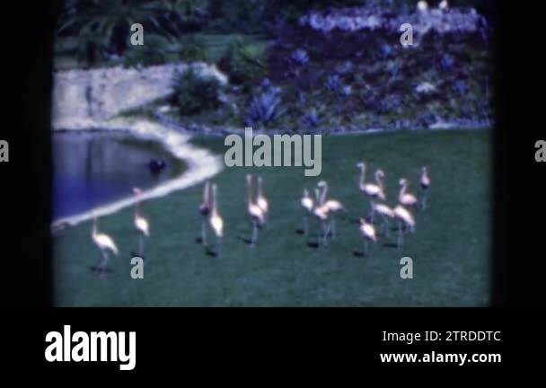 Pat texture Stock Videos & Footage - HD and 4K Video Clips - Alamy