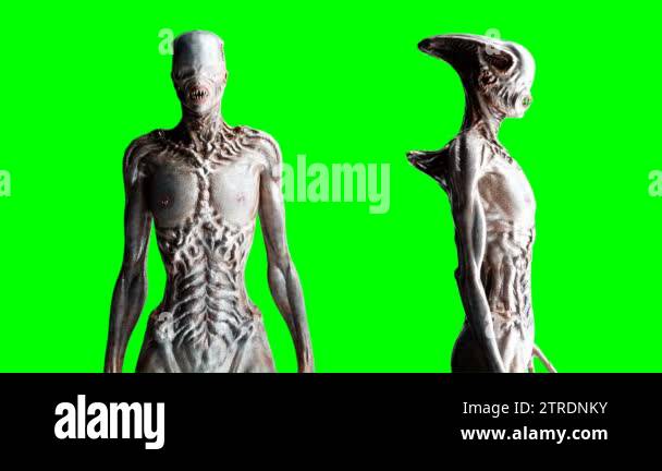 Scary, horror monster. Fear concept. Green screen isolate. Realistic 4K ...