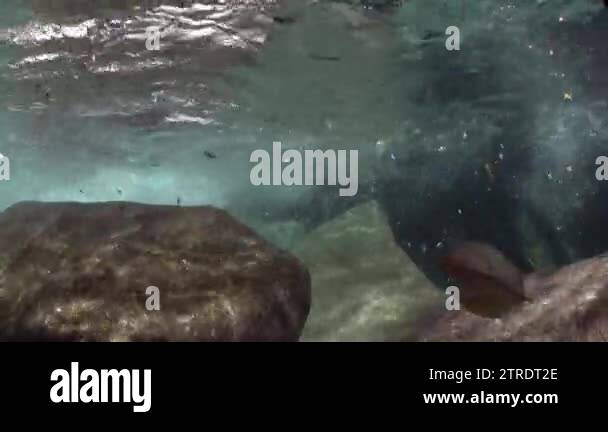 Strong undercurrent Stock Videos & Footage - HD and 4K Video Clips - Alamy