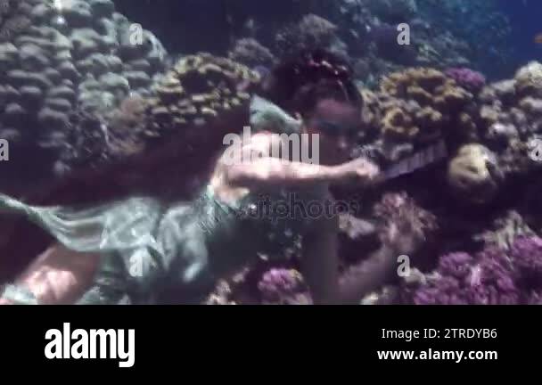 Underwater model free diver poses for camera on background of corals in ...
