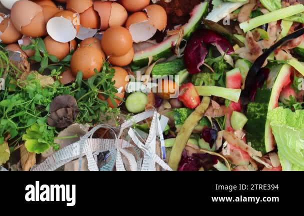The collection of waste that can break down into soil. Leaves, grass ...