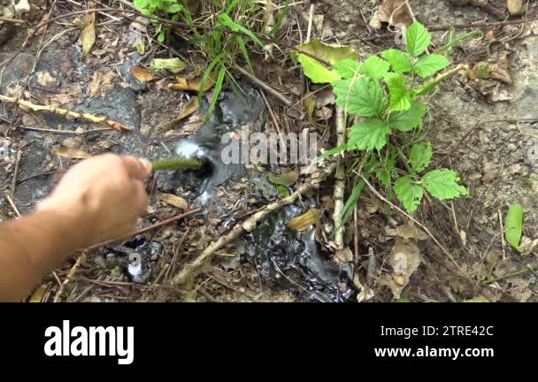 Poisonous contamination Stock Videos & Footage - HD and 4K Video Clips ...