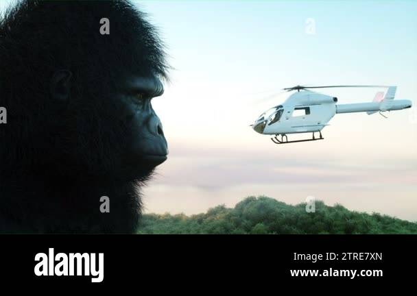 Giant gorilla and helicopter in jungle. Prehistoric animal and monster ...