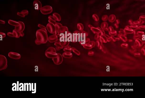 Capillary flow experiment Stock Videos & Footage - HD and 4K Video ...