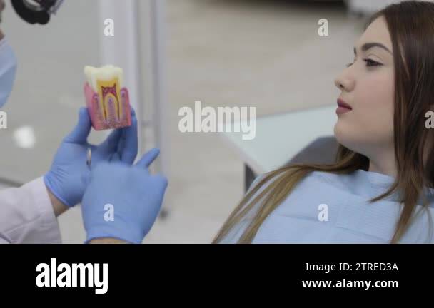 Dentist talking with patient and showing a model of teeth Stock Video ...