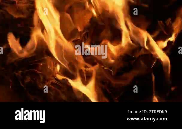 Curling up with Stock Videos & Footage - HD and 4K Video Clips - Alamy