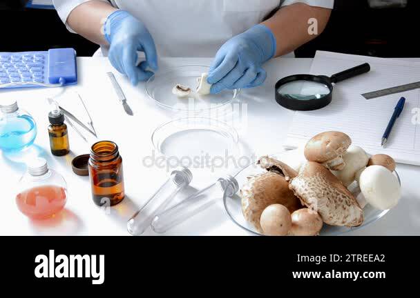 Preliminary check Stock Videos & Footage - HD and 4K Video Clips - Alamy