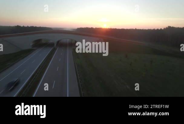 Animal bridge road Stock Videos & Footage - HD and 4K Video Clips - Alamy