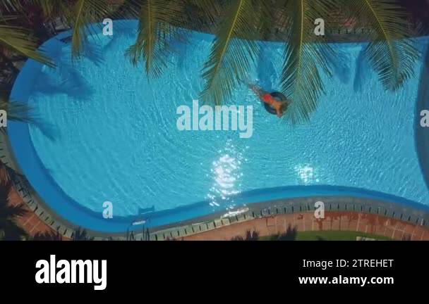 tropical wind waves large palm leaves over amazing swimming pool with ...