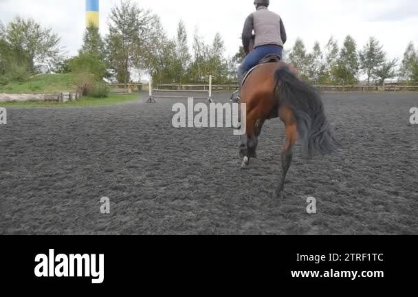 Following to horse is galloping and jumping through a barrier ...