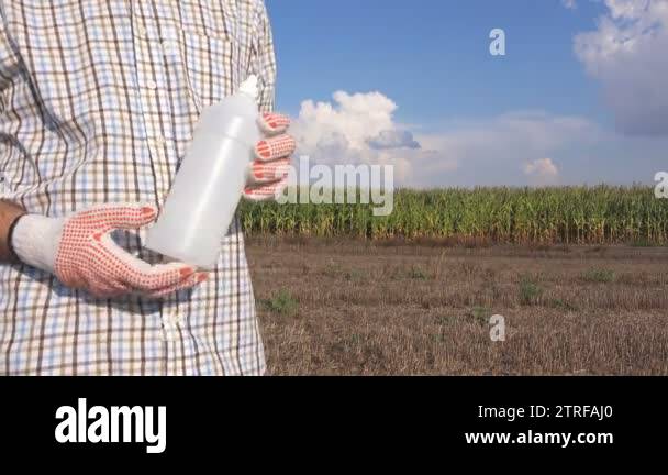 Farmer holding pesticide chemical bottle in cornfield. Blank unlabelled plastic container as ...