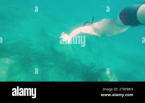 Man swimming underwater wearing in full-face mask. Male floats on a ...