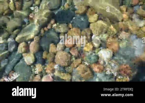 Stones underwater Stock Videos & Footage - HD and 4K Video Clips - Alamy
