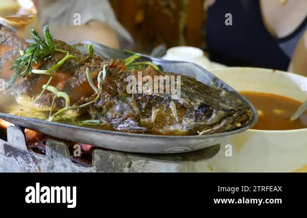 Snake head fish Stock Videos & Footage - HD and 4K Video Clips - Alamy