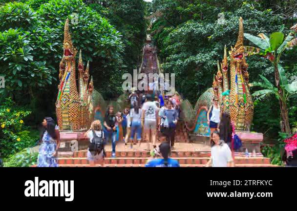 Serpent sculpture at the staircase Stock Videos & Footage - HD and 4K ...