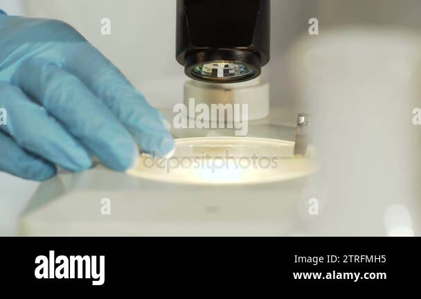 Laboratory. Sample slide viewed under microscope, chemical reaction in ...