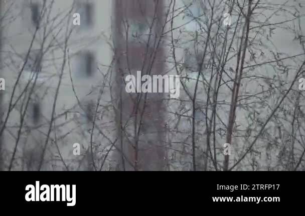 Cold wet windy Stock Videos & Footage - HD and 4K Video Clips - Alamy