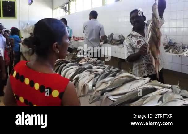 Fiji fish market Stock Videos & Footage - HD and 4K Video Clips - Alamy