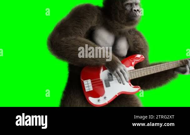 Funny brown gorilla play the bass guitar. Super realistic fur and hair ...