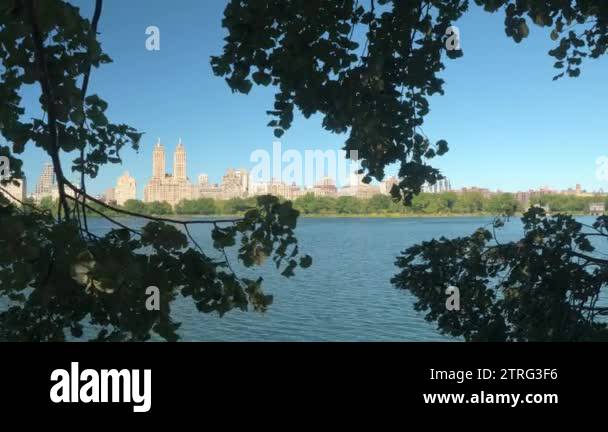 West tree Stock Videos & Footage - HD and 4K Video Clips - Alamy