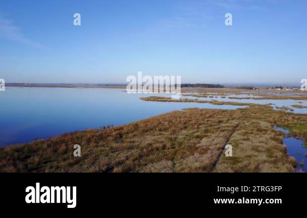 Esteiro Stock Videos Footage Hd And 4k Video Clips Alamy