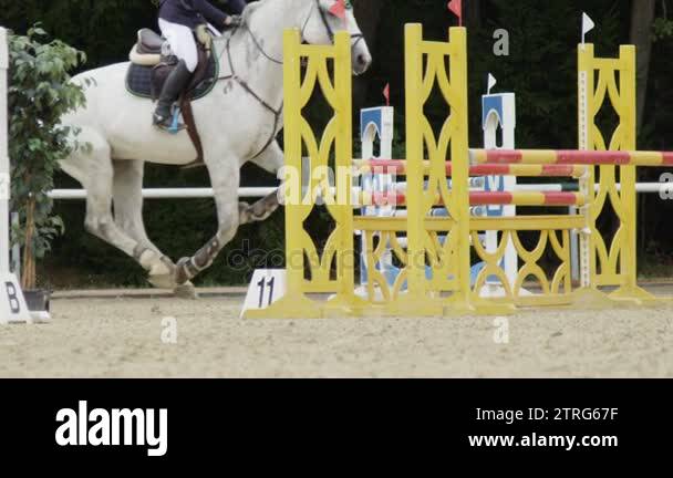Oxer jump Stock Videos & Footage - HD and 4K Video Clips - Alamy