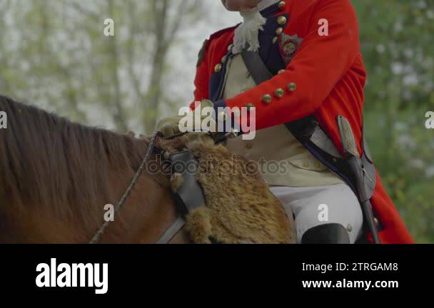 Commander horse Stock Videos & Footage - HD and 4K Video Clips - Alamy