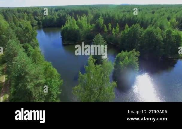 Wave deciduous forest Stock Videos & Footage - HD and 4K Video Clips ...