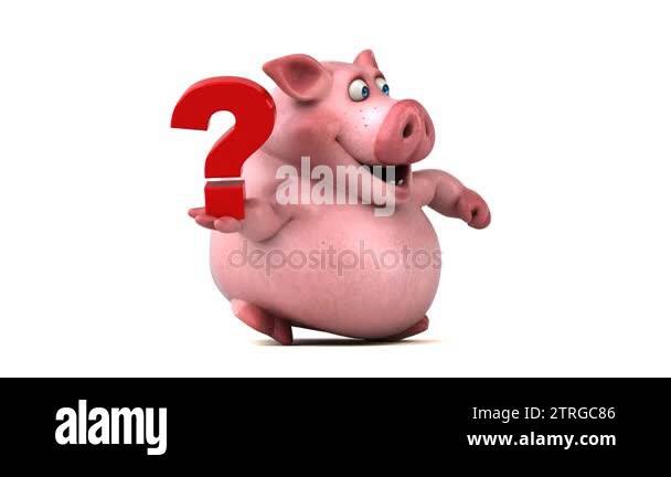 pig holding question mark Stock Video Footage - Alamy